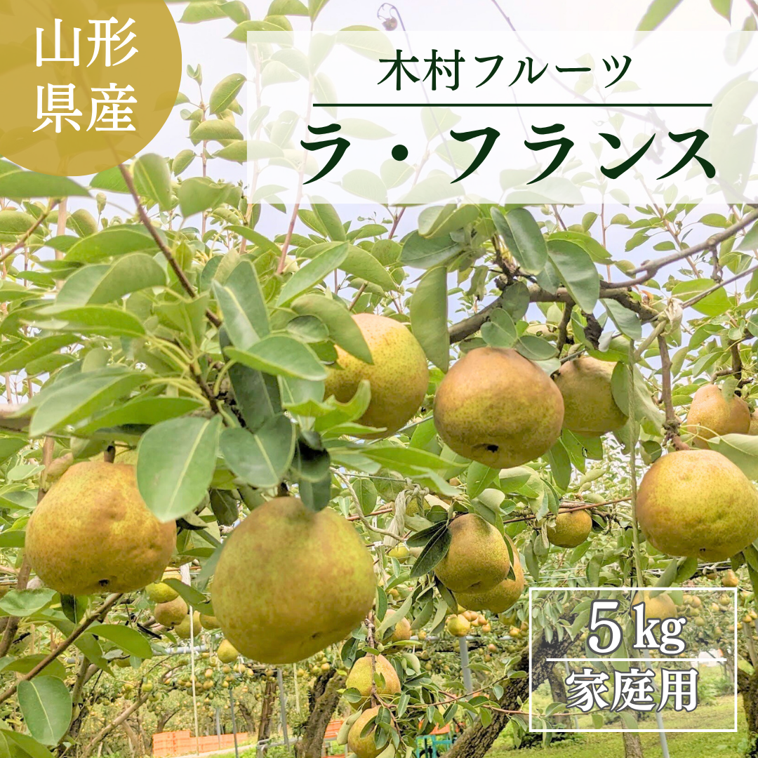 【スミヤ果樹園】洋なし 洋梨 ラ・フランス 約3kg 2L～4L 8～9玉 贈答用・ギフト用 山形県上山市 – にこやか産直アーケード