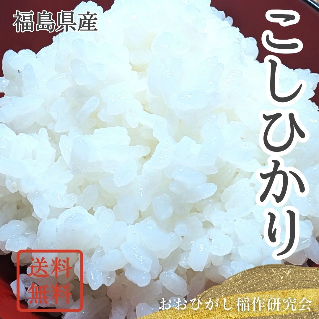 米 【おおひがし稲作研究会】 コシヒカリ 白米 5kg×2袋 10kg 福島県須賀川市 令和6年産 – にこやか産直アーケード