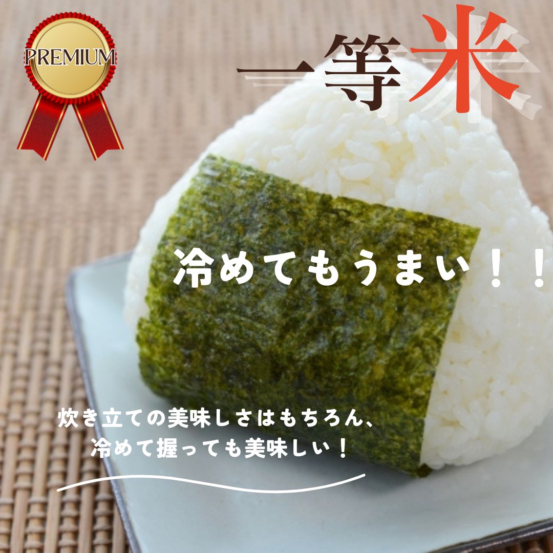 米 【おおひがし稲作研究会】 コシヒカリ 白米 5kg×2袋 10kg 福島県須賀川市 令和6年産 – にこやか産直アーケード