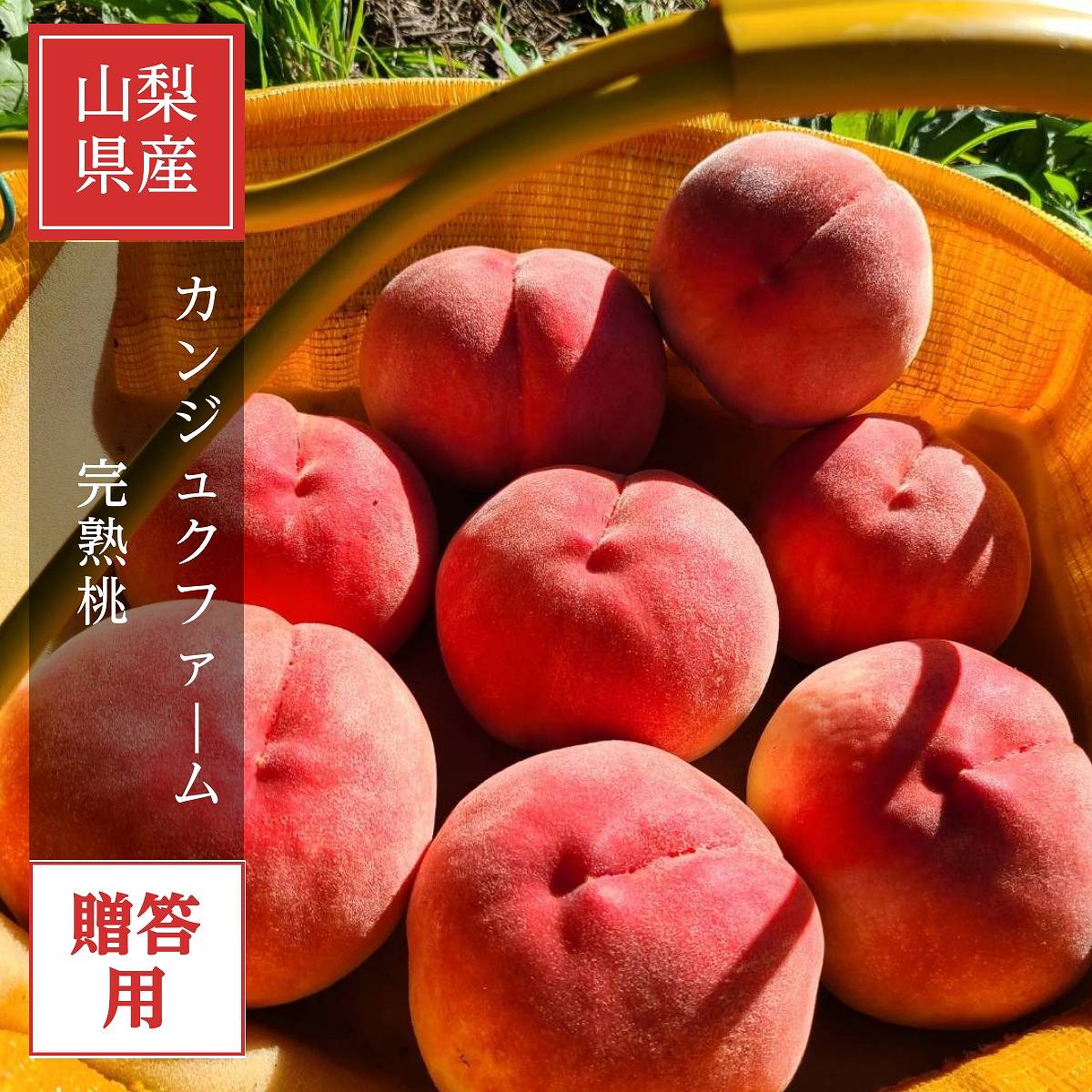 桃 【カンジュクファーム】 もも 2kg 6～8個 贈答用 お中元 御中元 山梨県南アルプス市 《7/中旬～7/下旬より出荷） – にこやか ...