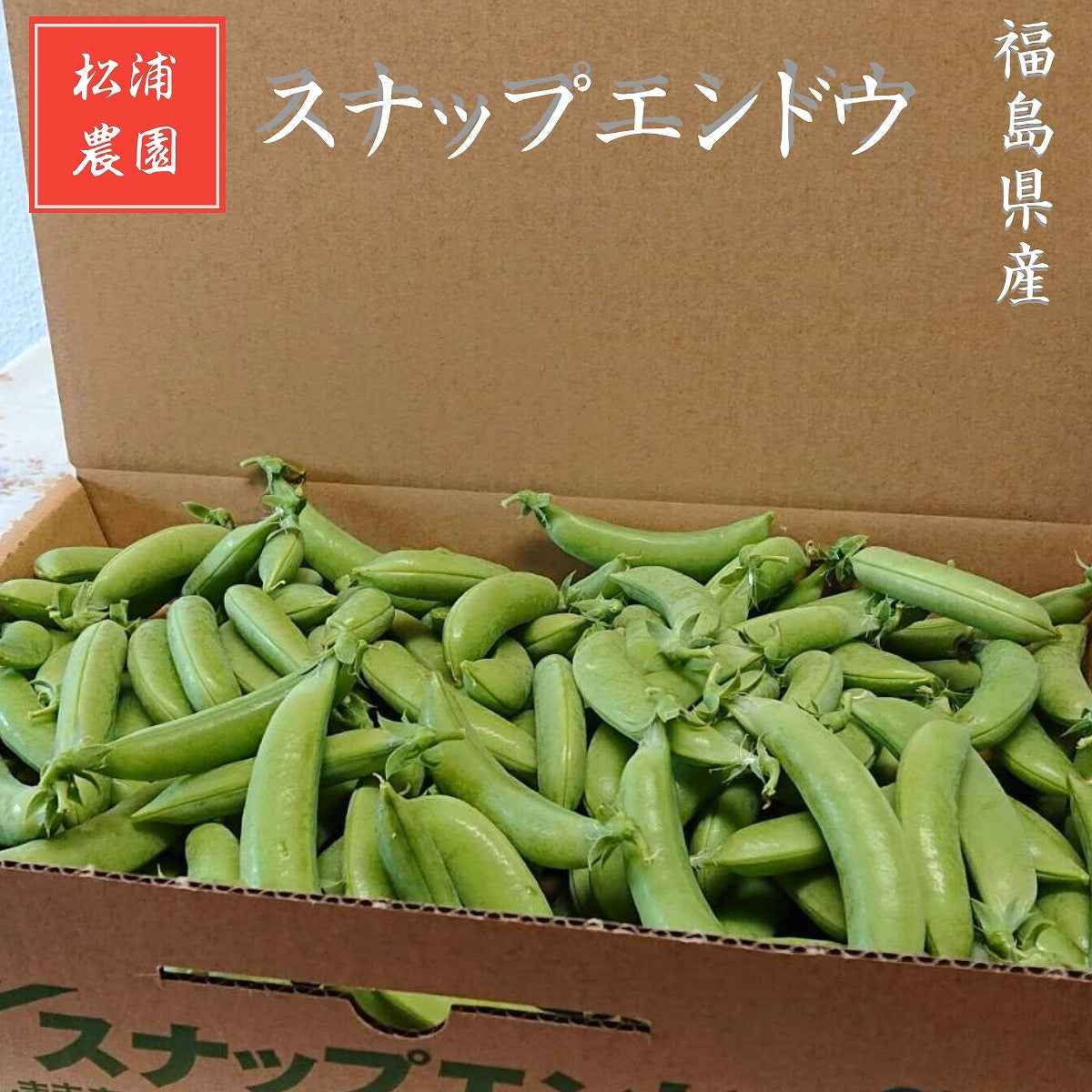 スナップエンドウ 【松浦農園】 2kg 業務用 福島県伊達市 当日収穫 新鮮 えんどう豆 スナップえんどう 《4/上～4/中より出荷 ...