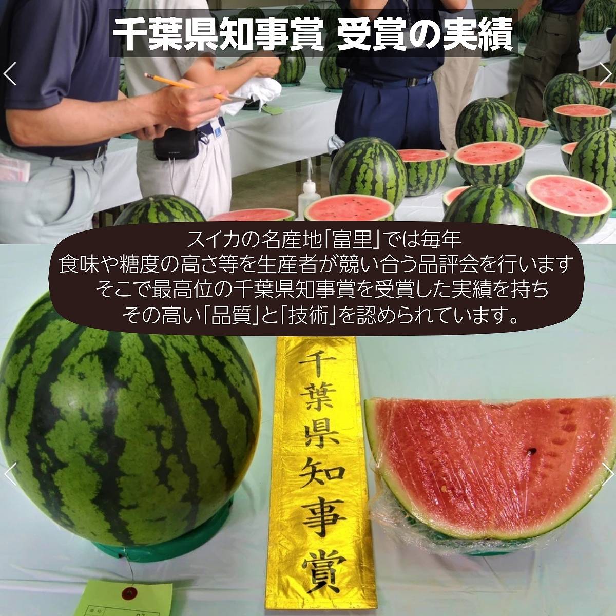 スイカ 【富里すいか園】 富里スイカ L～2L 6～8kg 1個 千葉県富里市 すいか 父の日 《6月上旬より出荷》 – にこやか産直アーケード