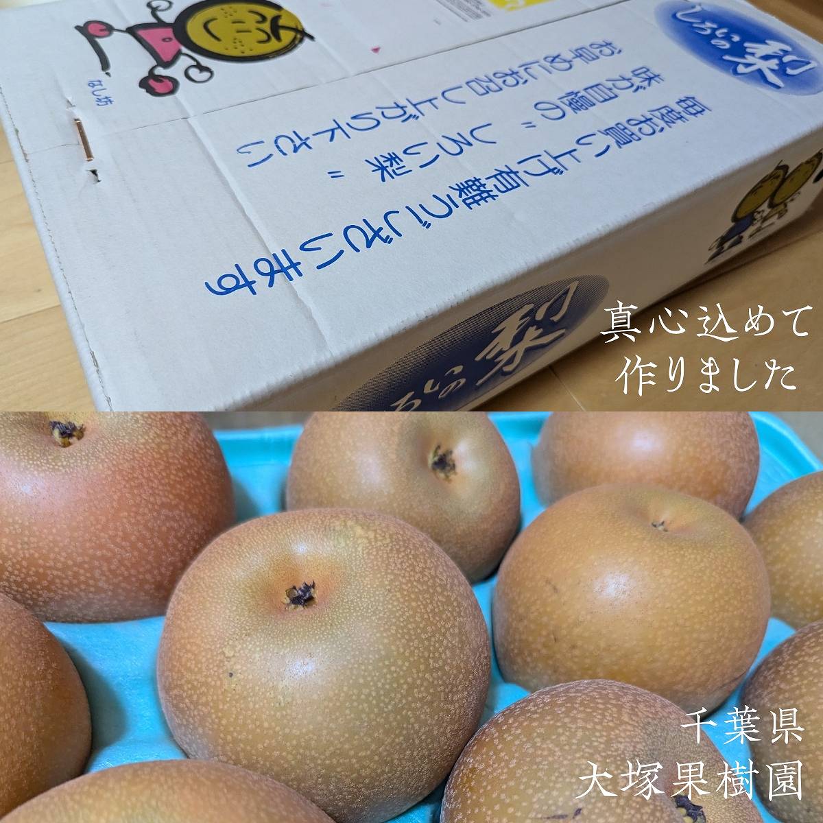 梨 【 大塚果樹園 】 白井の梨 5kg 10～16個 贈答用 しろいの梨 千葉県白井市《9/上旬～9/中旬より出荷》 – にこやか産直アーケード