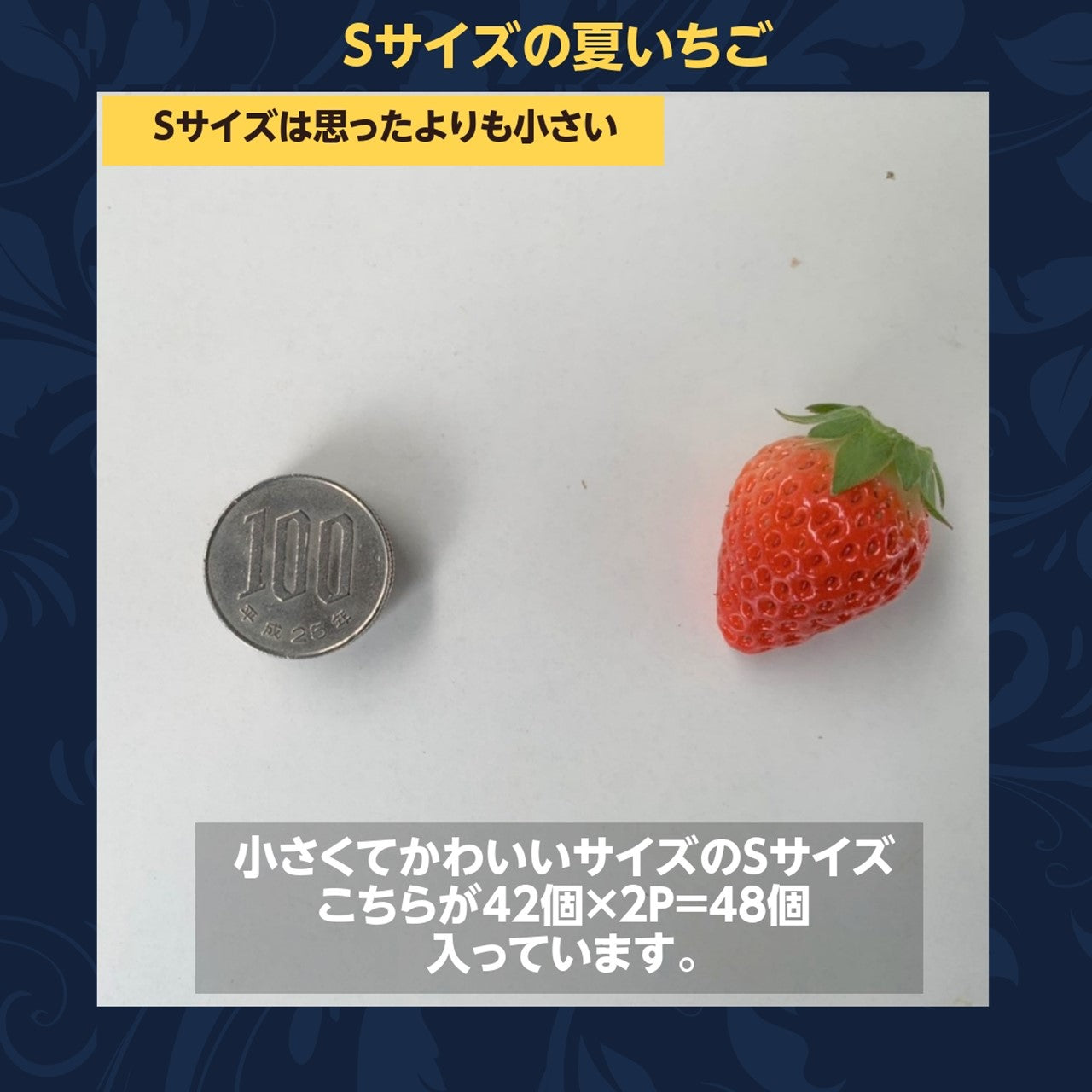 いちご 夏いちご 【いいたていちごランド】 雷峰 560g 小さい サイズS 84個 秀 福島 飯館 ケーキ お菓子作り イチゴ 苺 夏 – にこやか産直アーケード