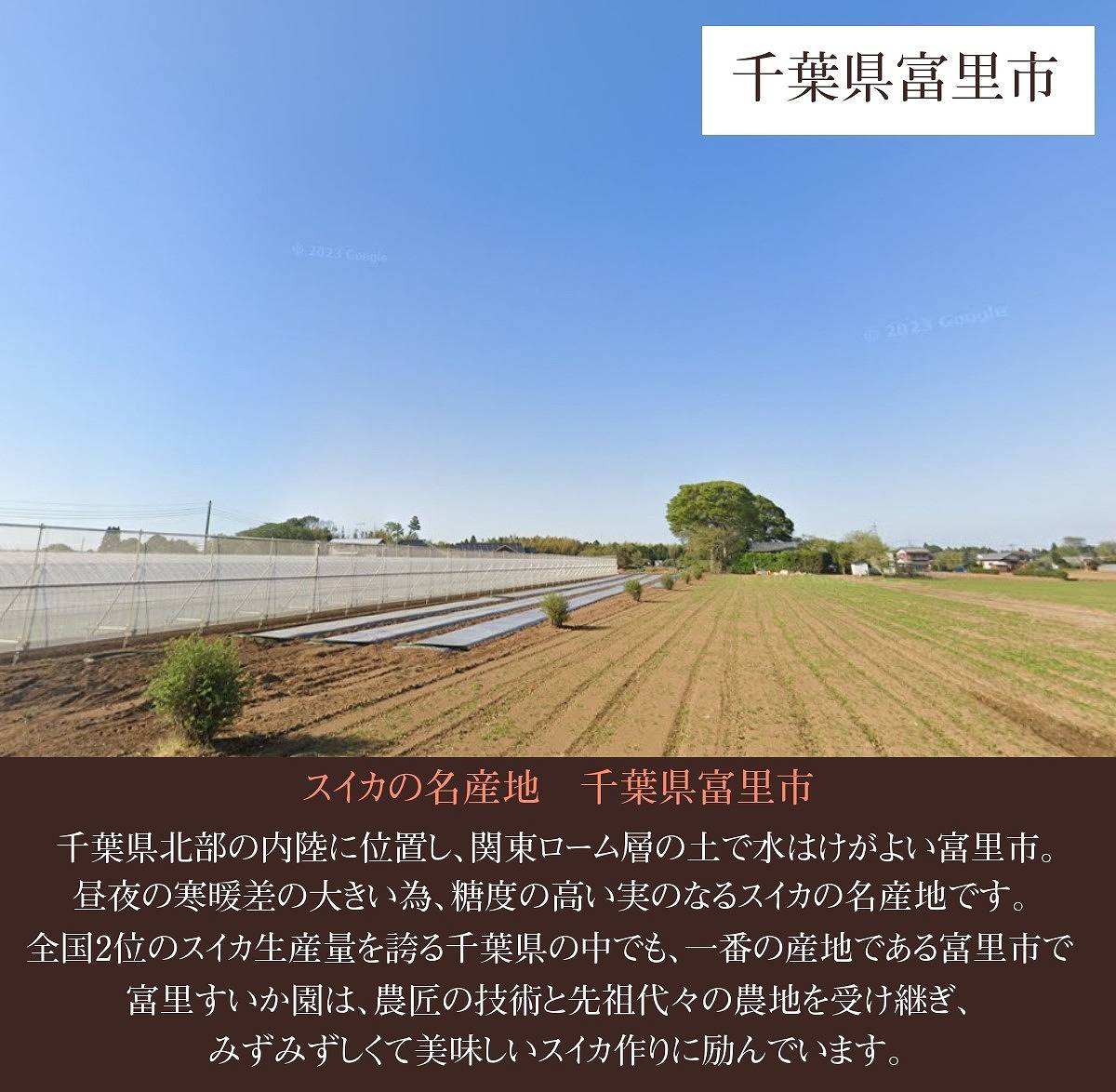 スイカ 【富里すいか園】 富里スイカ L～2L 6～8kg 1個 千葉県富里市 すいか 父の日 《6月上旬より出荷》 – にこやか産直アーケード