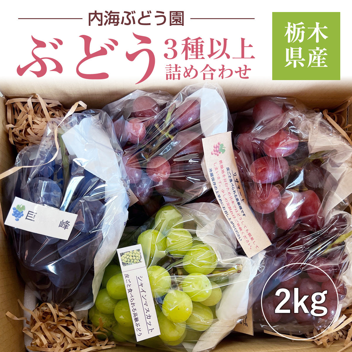 ぶどう 【内海ぶどう園】 葡萄 詰合せ 品種お任せ 2kg 3～6房 贈答用 栃木県栃木市《8/中旬～8/下旬より出荷》 – にこやか産直アーケード