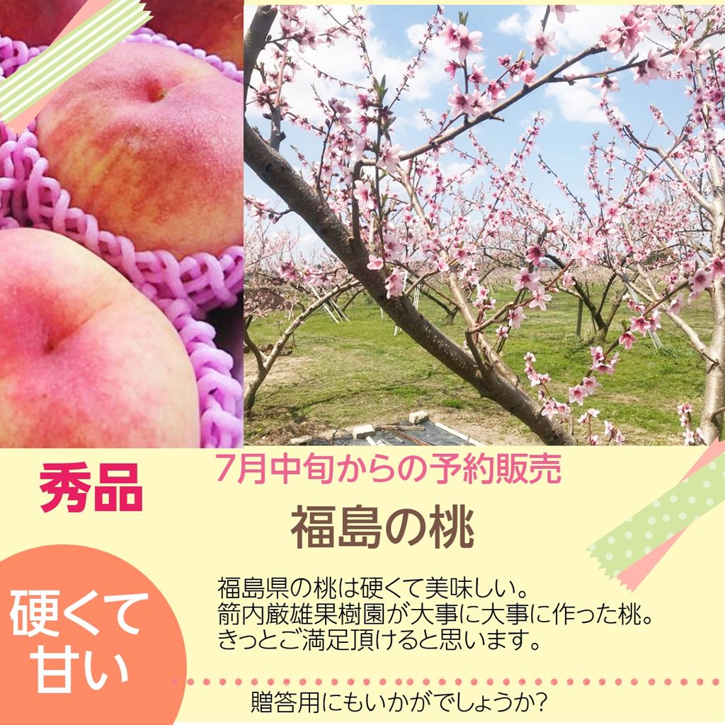桃 【箭内厳雄果樹園】 もも 3kg 8～13玉 品種おまかせ 福島県 贈答用 《7月下旬～8月上旬から出荷》 – にこやか産直アーケード